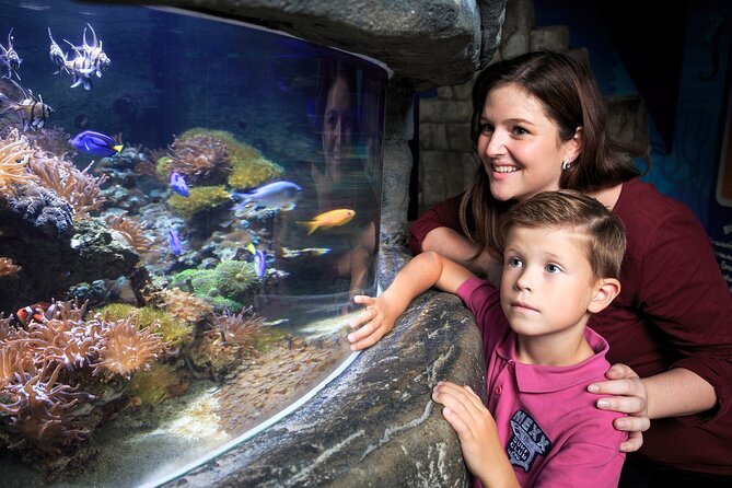 SEA LIFE Timmendorfer Strand Admission Ticket - Nearby Attractions for Families