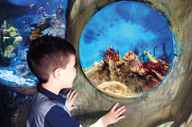 SEA LIFE Timmendorfer Strand Admission Ticket - Contact and Location Information