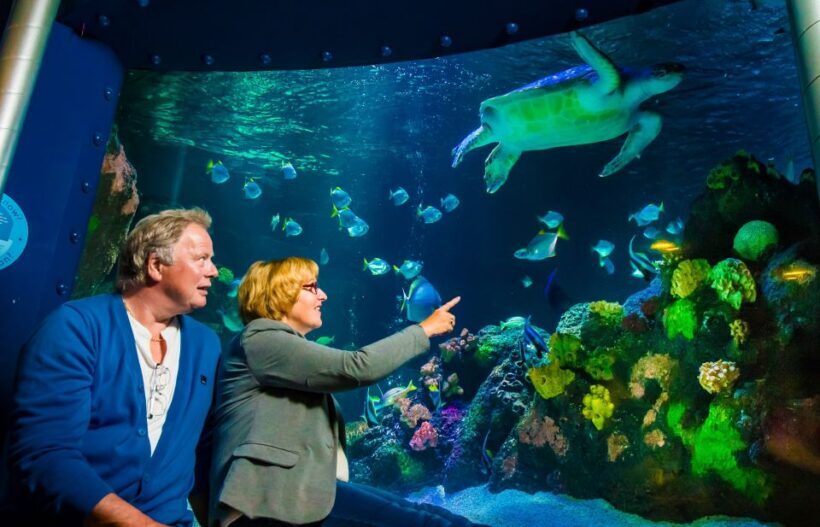 SEA LIFE Timmendorfer Strand Ticket - FAQ