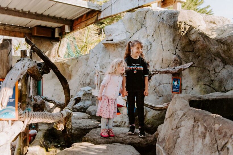 Sea Life Weymouth Admission Ticket - An In-Depth Look at Weymouth Sea Life Adventure Park