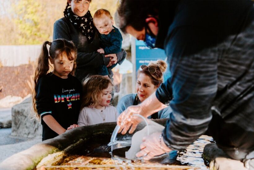 Sea Life Weymouth Admission Ticket - Final Thoughts