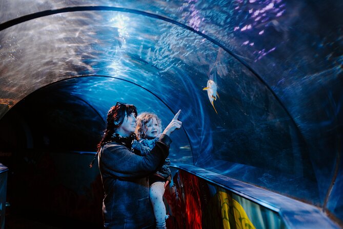 SEA LIFE Weymouth Admission Ticket - About Your Stay