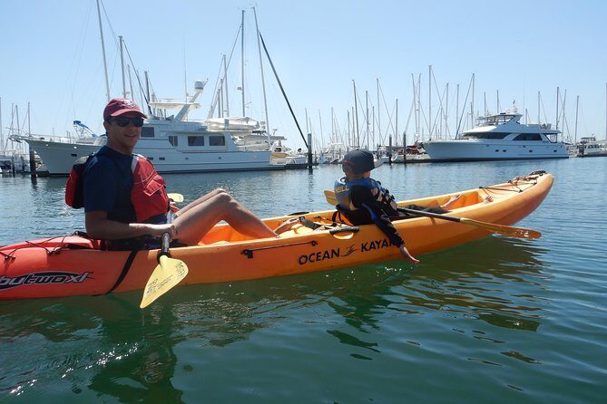 Sea Lion Kayak Tour - Santa Barbara Harbor - FAQ