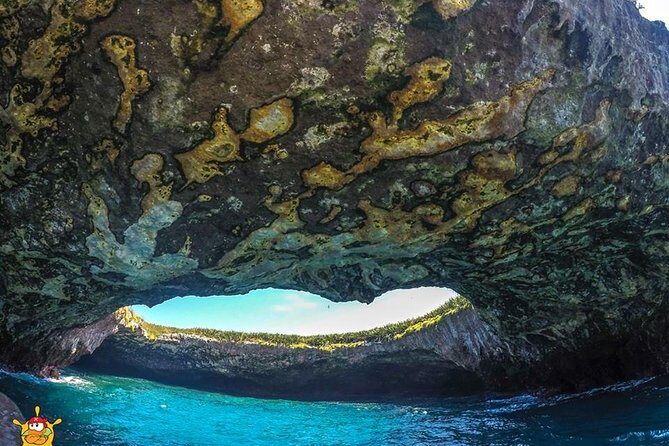 Sea Mi Amor Marietas - FAQ: Your Questions About Sea Mi Amor Marietas Answered