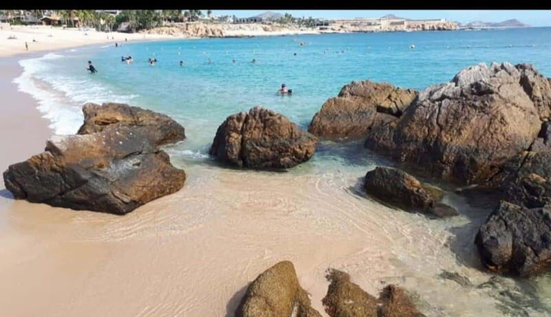 Sea of Cortez: Unforgettable Snorkeling Experience - An Inviting Introduction to Baja’s Marine Wonderland