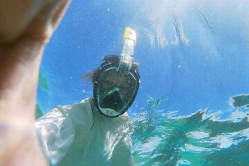 Sea of Cortez: Unforgettable Snorkeling Experience - What Travelers Say