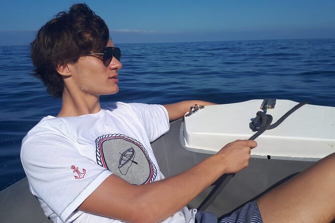 SEA SAFARI Dolphins, Whales, 3h Speedboat DISCOVERY-TOUR - Highlights of the Tour Experience