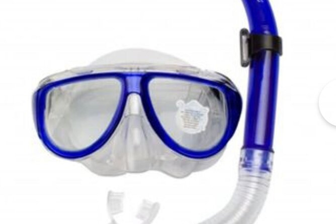 SEA SAFARI, Dolphins, Whales, snorkeling, snack and drink, 2 h speedboat - Frequently Asked Questions