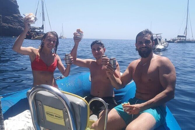 SEA SAFARI Dolphins,Whales, snorkeling, snack, drink, 3h private - Who Would Love This Tour?