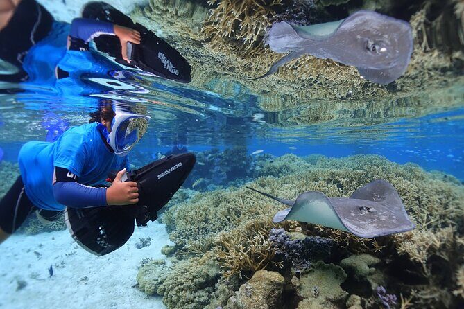 Sea Scooter Jet Snorkeling "Moorea Dream Adventure" - FAQ