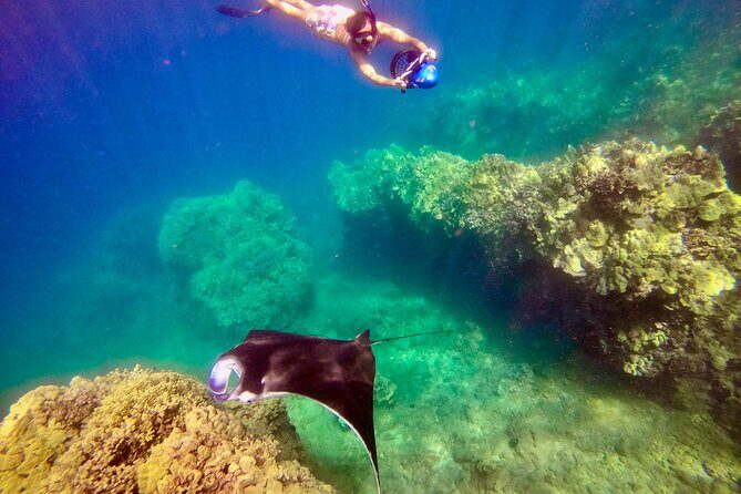 Sea Scooter Snorkeling Guided Tour - Turtle Town - The Sum Up