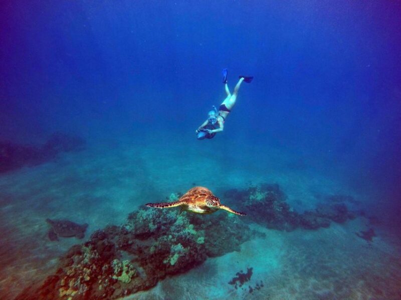 Sea Scooter Snorkeling Guided Tour - Wailea Beach - Key Points