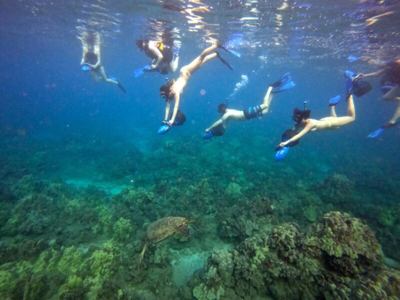 Sea Scooter Snorkeling Guided Tour - Wailea Beach - FAQ