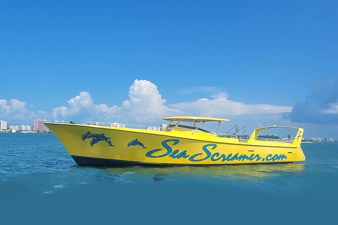 Sea Screamer Clearwater's Only Speed Boat Dolphin Watching - What to Expect from the Tour