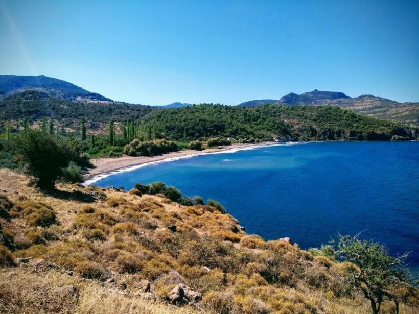 Sea, Sun and Swimming Cruise from Mytilene - The Experience: Pros and Cons