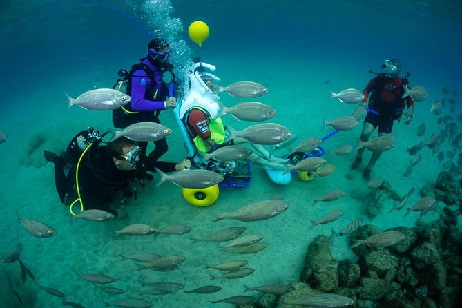 Sea Trek and Diving for handicaped people - Key Points