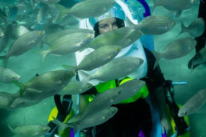 Sea Trek and Diving for handicaped people - FAQ