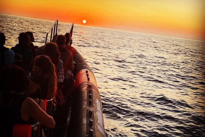 Sea trips Scandola Girolata and Calanches de Piana - Final Thoughts