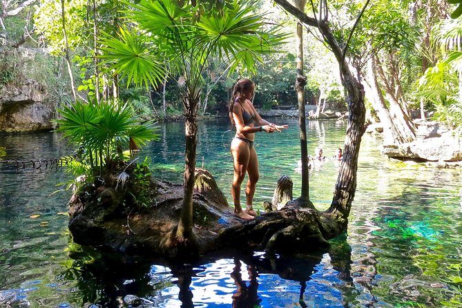 Sea turtle and cenotes half day Snorkeling Tour from Riviera Maya - Authentic Encounters and Worthwhile Highlights