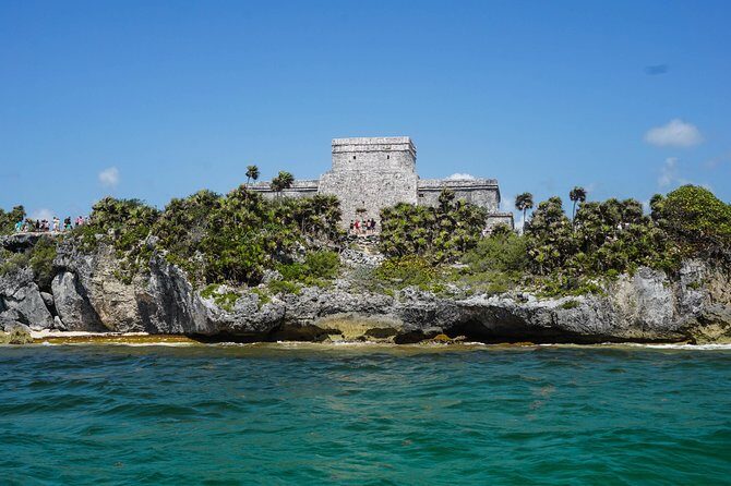 Sea turtle and cenotes half day Snorkeling Tour from Riviera Maya - The Sum Up