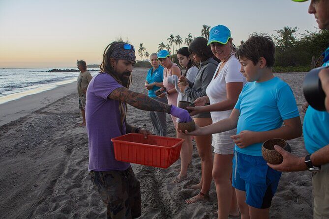 Sea Turtle Release  A Puerto Vallarta Conservation Adventure - Final Thoughts: Who Will Love This Tour?