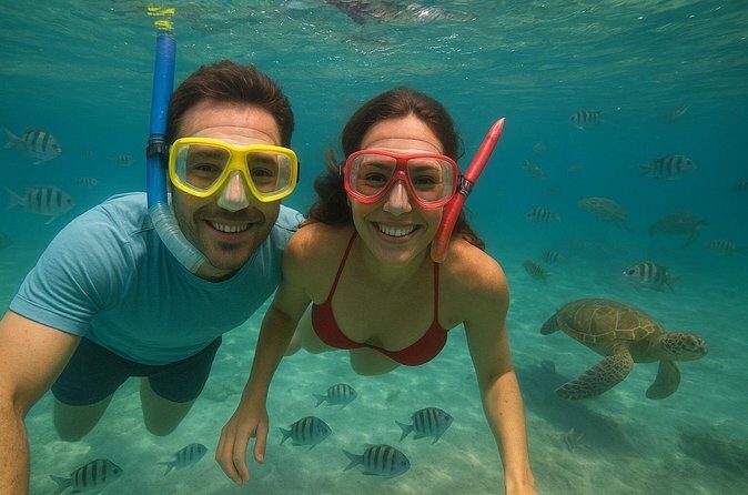 Sea Turtle Snorkel Tour - Frequently Asked Questions