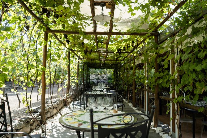 Seafood Lunch With Wine Tasting & Tour on a Golf Cart - Accessibility and Participation