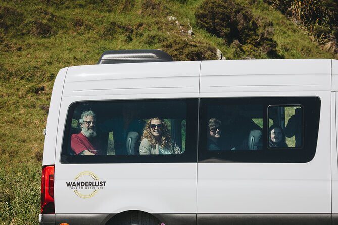 Seal Coast Safari - Exclusive access to Wellington's secret coast - A Close Encounter with New Zealand Fur Seals