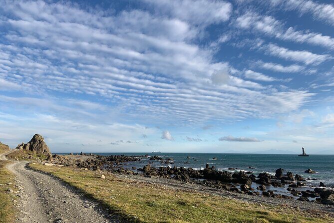 Seal Coast Safari - Exclusive access to Wellington's secret coast - Practicalities and Value