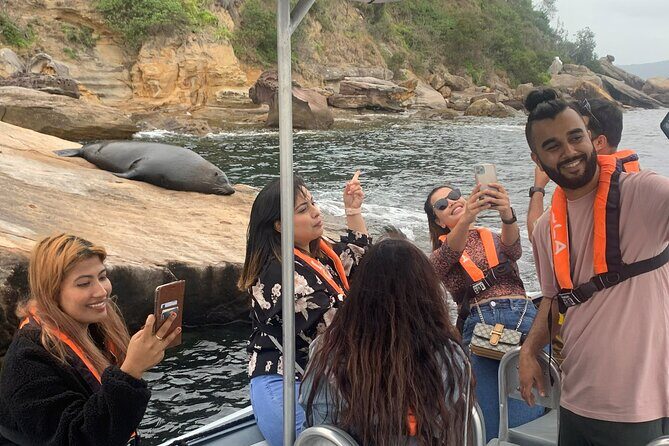 Seal & Dolphin Adventure - Key Points