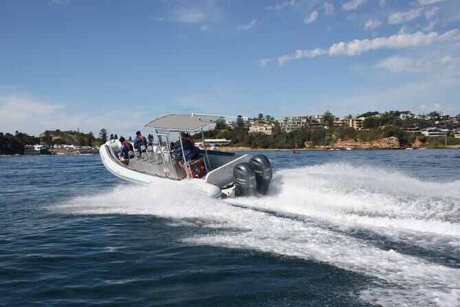 Seal & Dolphin Adventure - Who Should Consider This Tour?
