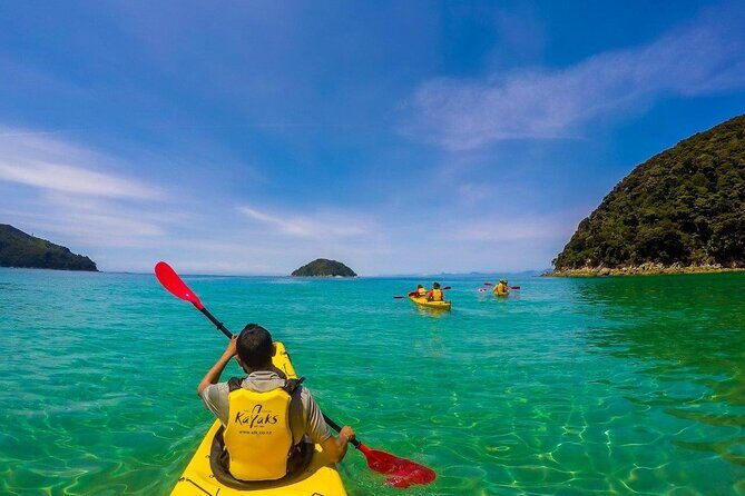 Seal Sanctuary Tour - Guided Kayaking - New Zealand - An In-Depth Look at the Seal Sanctuary Tour