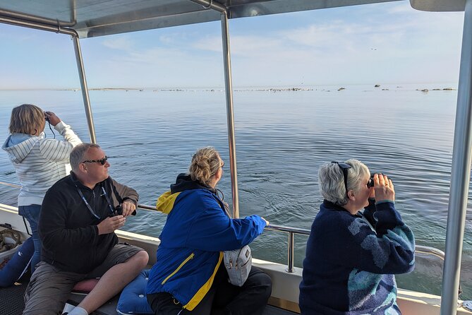 Seal-Watching Tour near Malusi Islands - What Makes This Tour Stand Out?