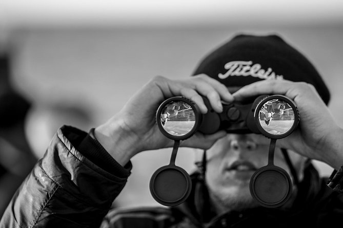 Seal-Watching Tour near Malusi Islands - In The Sum Up