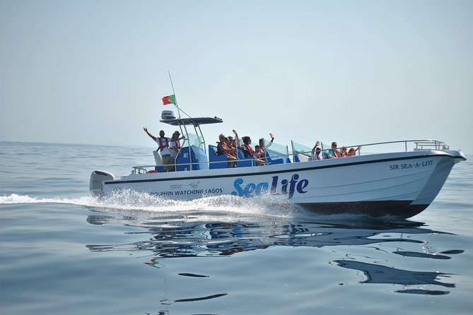 Sealife Sea Safari, Dolphin Watching with Marine Biologist's Lagos - The Itinerary and Experience