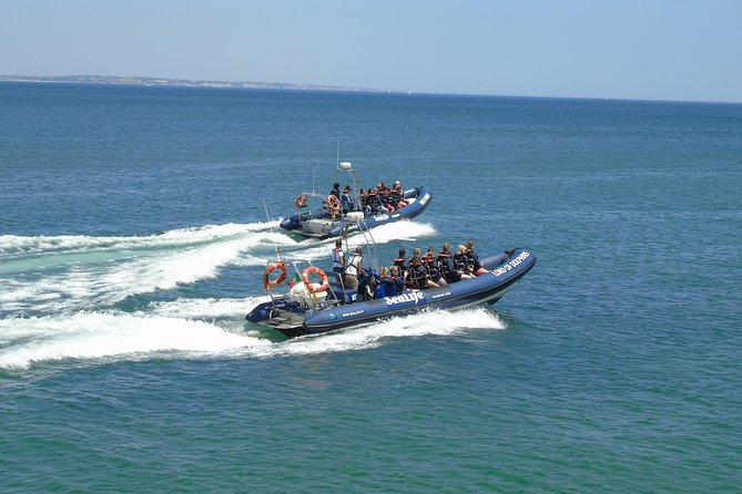 Sealife Sea Safari, Dolphin Watching with Marine Biologist's Lagos - FAQs