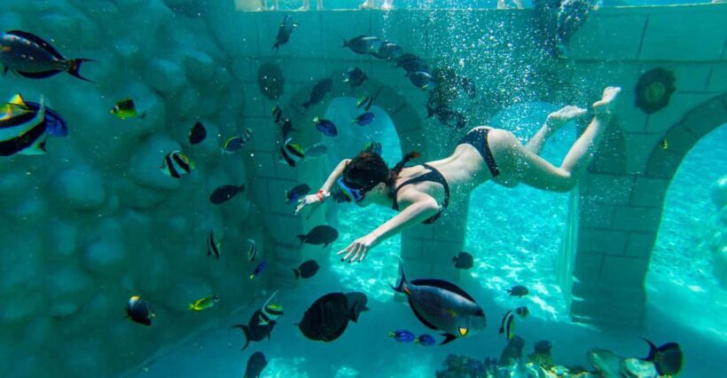 Seapark: Swimming in Pool Aquarium with Authentic Creatures - The Sum Up