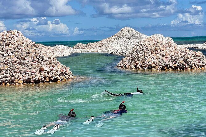 "Seas the Day!" Hop to iconic BVI islands and amazing snorkeling. - Who Should Consider This Tour?