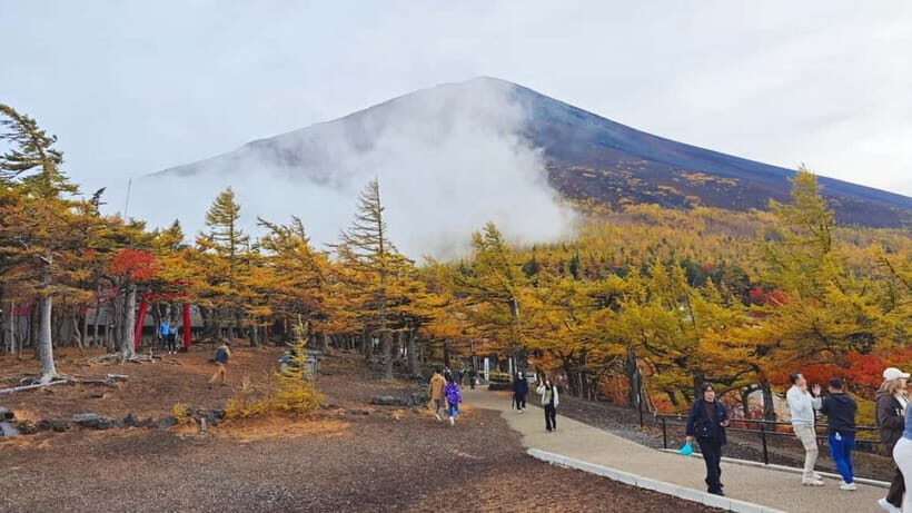 [Seasonal Limited] Mt. Fuji 5th Station &Hot Spring Day Tour - An In-Depth Look at the Tour Experience