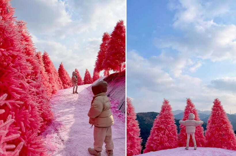 Seasonal Pocheon Full Day Tour with Apple Farm Experience - What Makes This Tour Special?