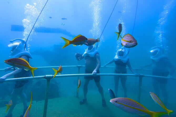 SeaTrek Tour St. Maarten - Frequently Asked Questions