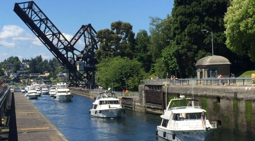Seattle: 3-Hour City Highlights Tour - The Sum Up