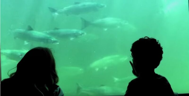 Seattle: 3 Hour Emerald City Bike Tour - Who Should Consider This Tour?