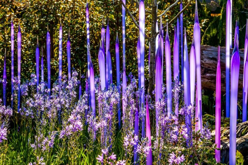 Seattle: Chihuly Garden and Glass Entry Ticket - The Glasshouse: A Towering Spectacle