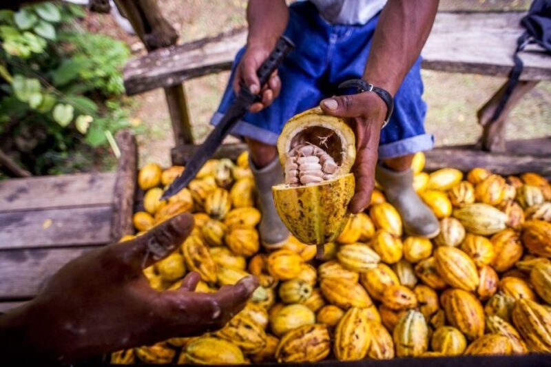 Seattle: Chocolate Tour with Tastings - The Itinerary in Detail