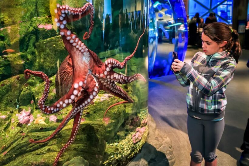 Seattle CityPASS®: Save up to 46% at 5 Top Attractions - FAQs