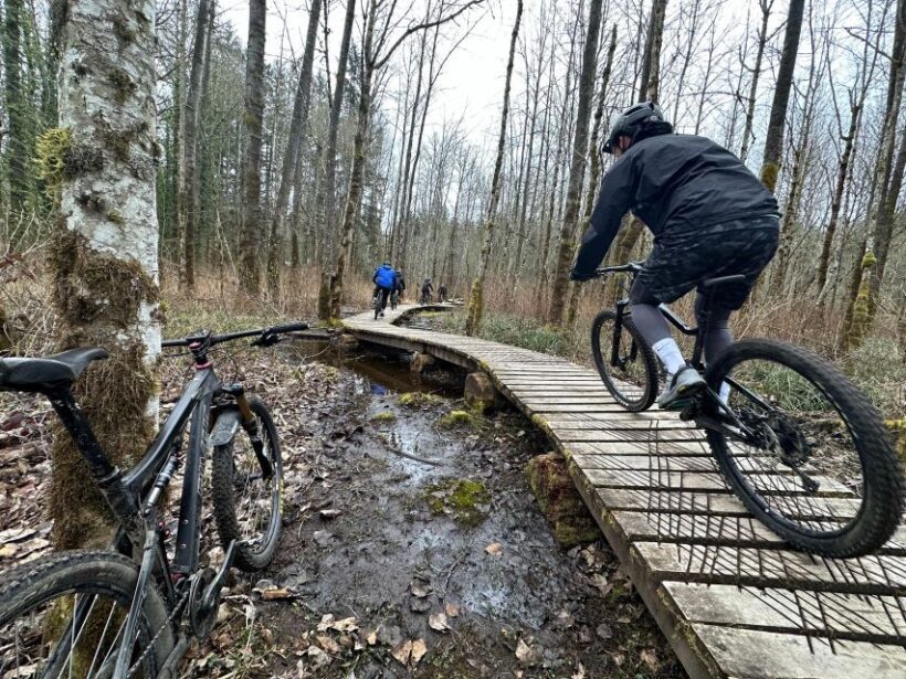 Seattle: Half Day All-Inclusive Mountain Bike Tour - The Bottom Line
