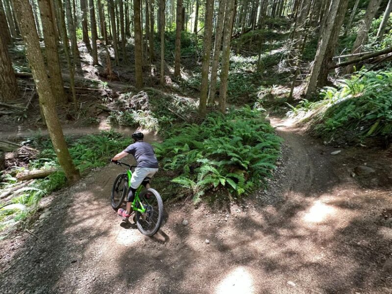 Seattle: Half Day All-Inclusive Mountain Bike Tour - Key Points