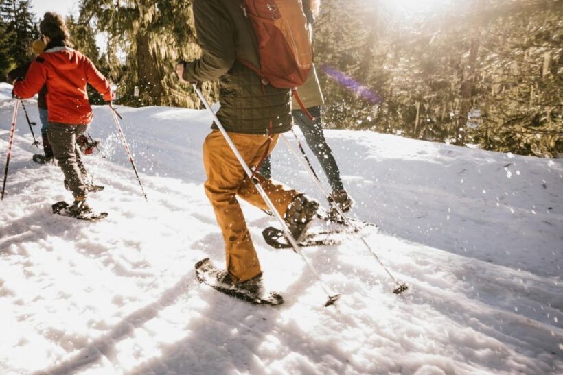 Seattle: Longmire in Mount Rainier Winter Day Tour - Authentic Experiences and Authenticity