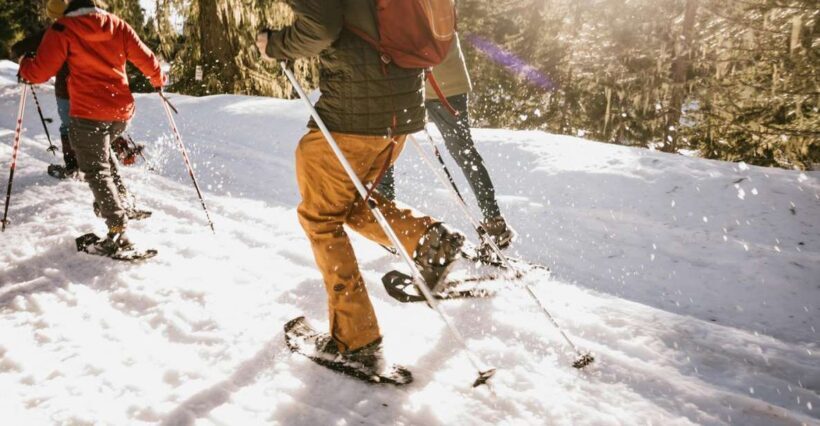 Seattle: Longmire in Mount Rainier Winter Day Tour - The Sum Up